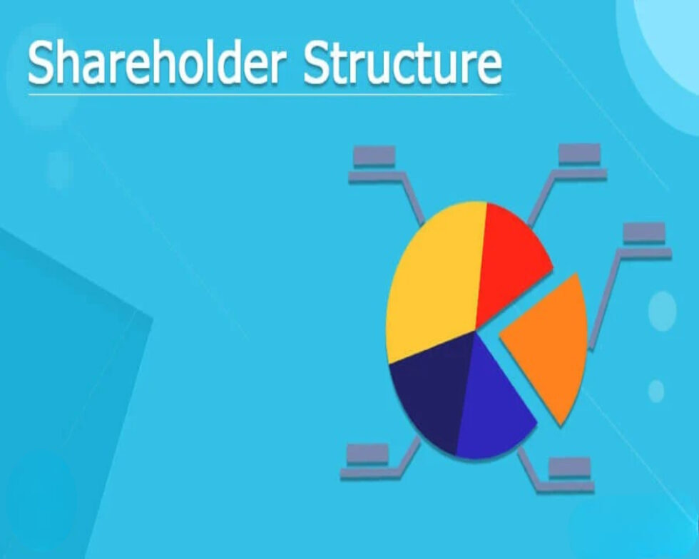 What is the shareholding structure? - Hello Auditor