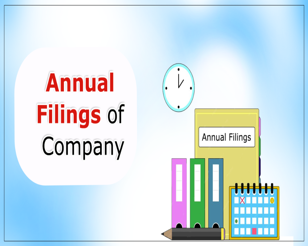 Describe Annual Filing Obligations of Section 8 Companies - Hello Auditor