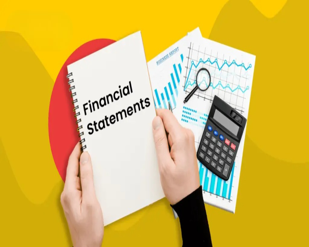 Detailed Format of Financial Statements for Section 8 - Hello Auditor