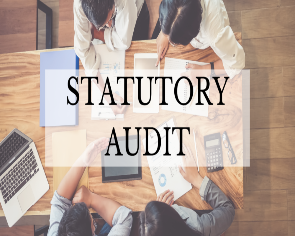 Detail the functions of a statutory auditor in a Public Limited Company. - Hello Auditor