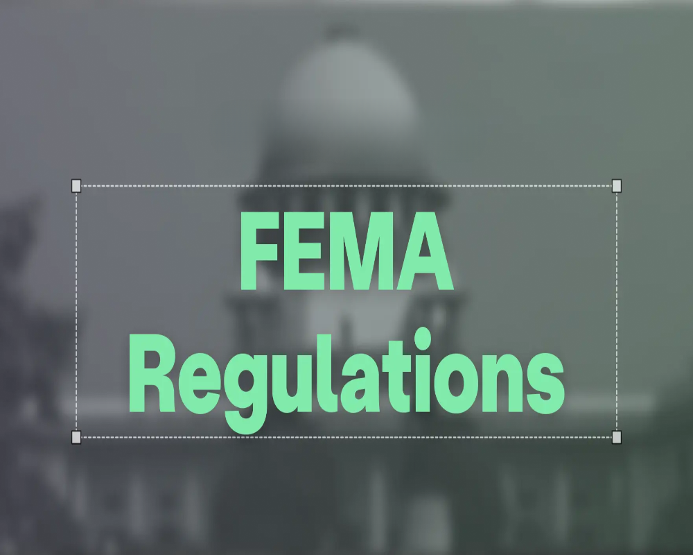 Briefly outline FEMA regulations for Public Limited Companies. - Hello Auditor