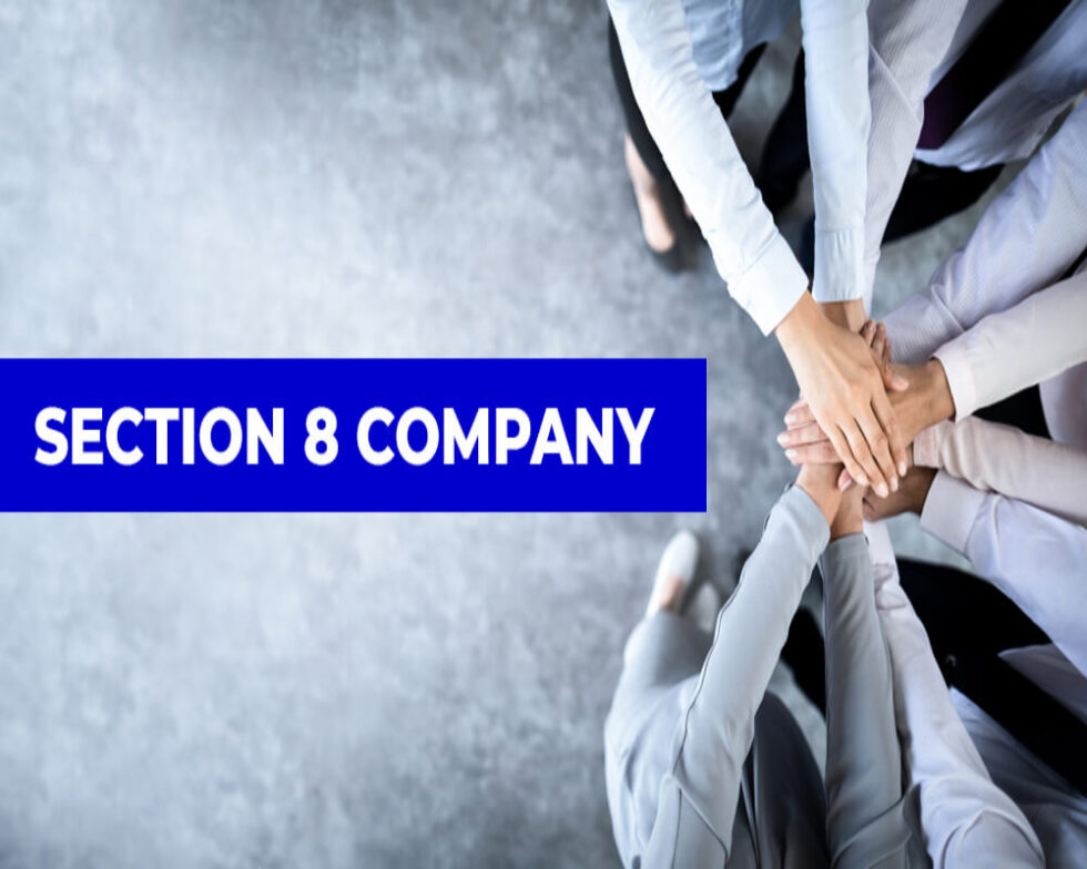 Define Section 8 companies and their connection to Public Limited ...