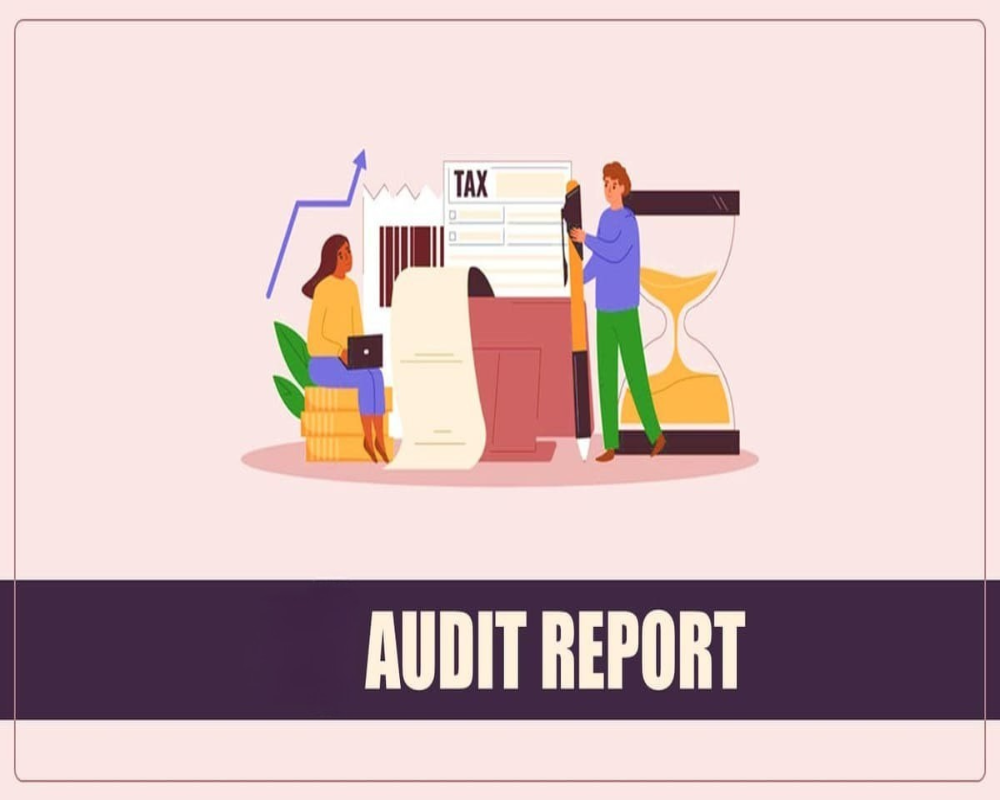 Section 8 Entities to Submit Online Audit Reports - Hello Auditor