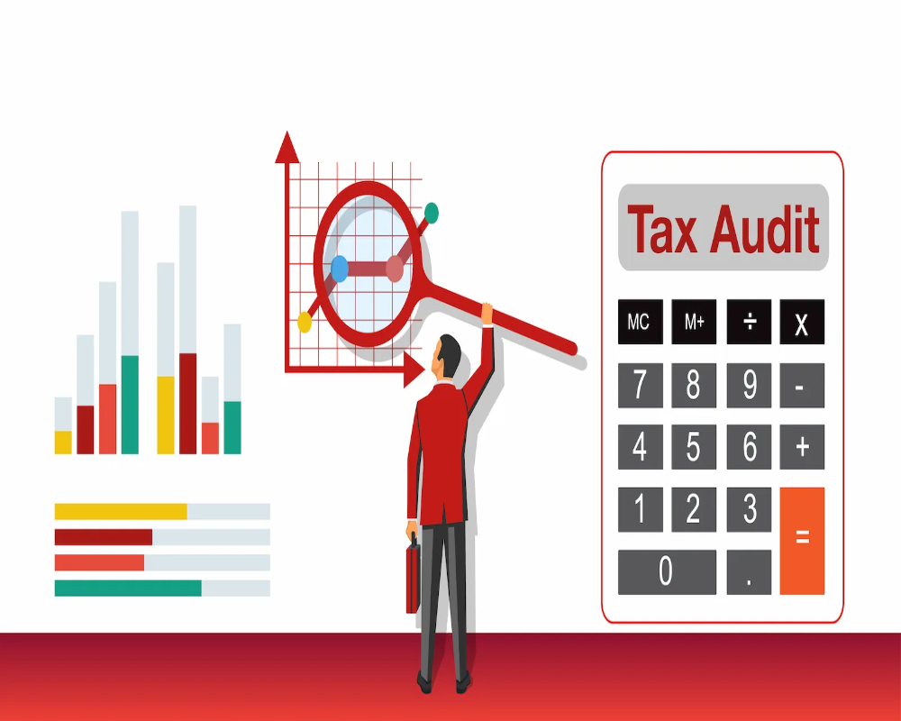 Ministry of Finance Launches Tax Audit Tracker for Public Limited ...