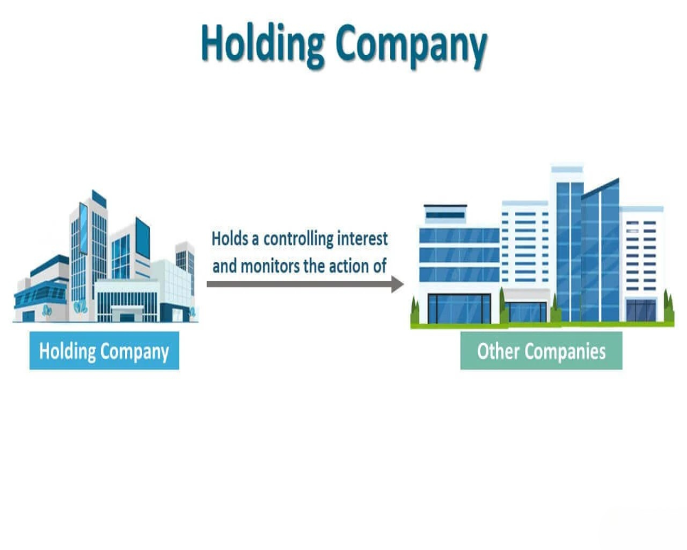 What is a holding Public Limited Company? - Hello Auditor