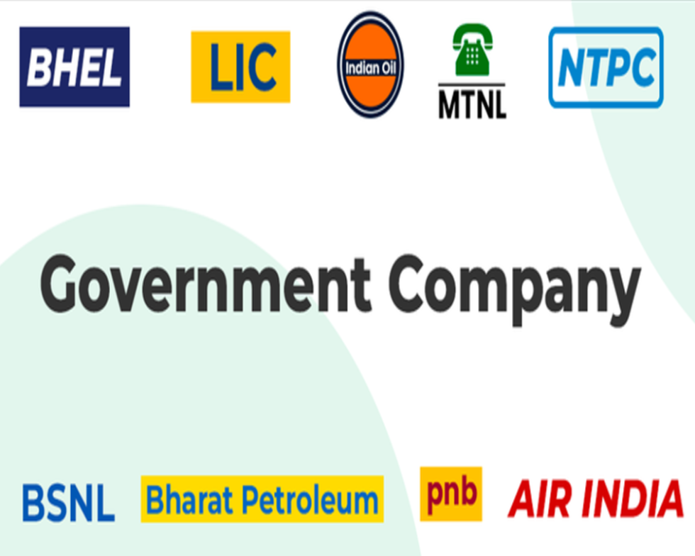 What is a Government Company and can it be public? - Hello Auditor