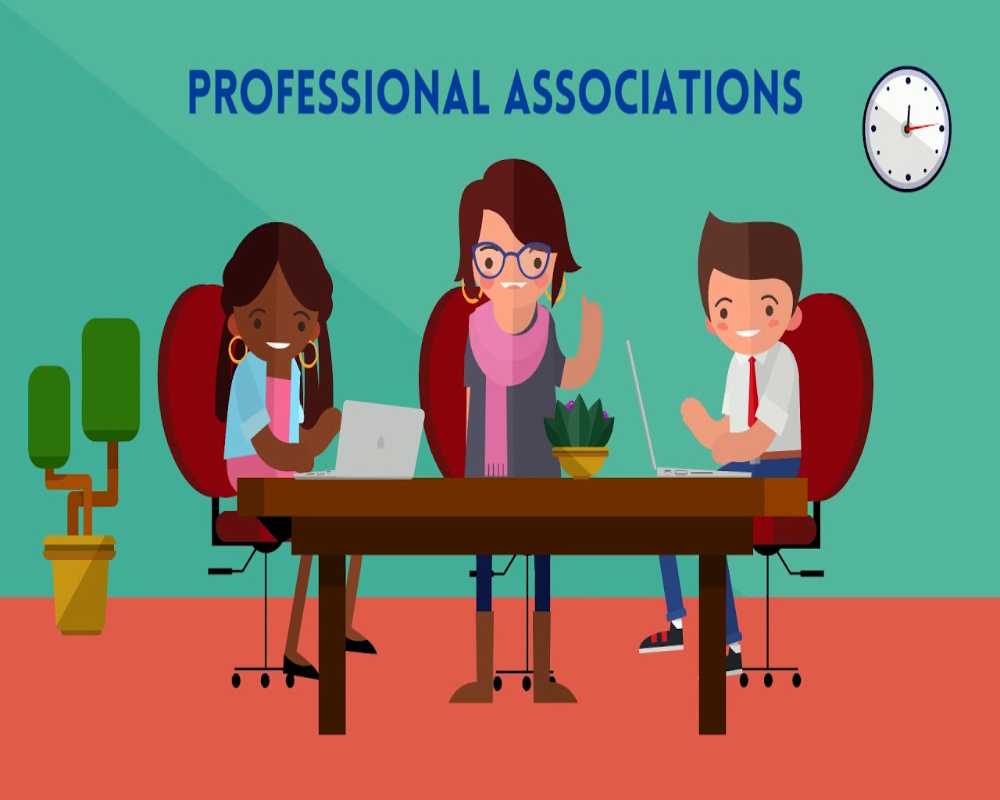 Introduction to professional associations in India - Hello Auditor