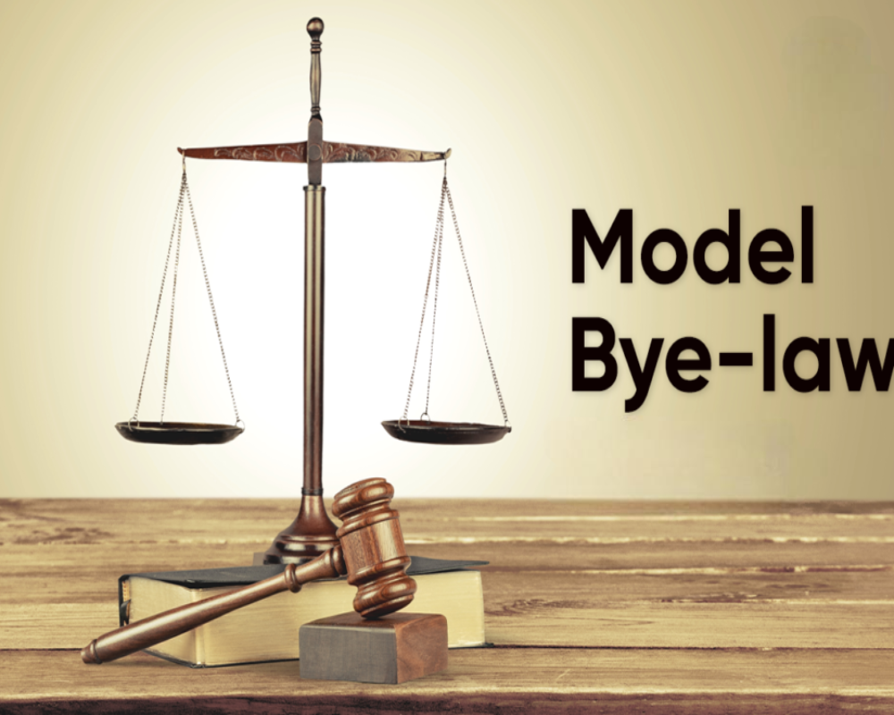 Introduction to model by-laws for societies - Hello Auditor