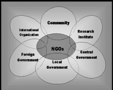What is incidental business activity for NGOs? - Hello Auditor