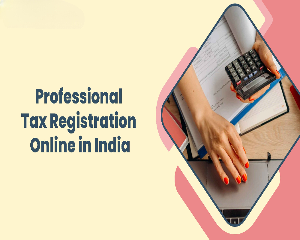 Detailed procedure for professional tax registration online - Hello Auditor