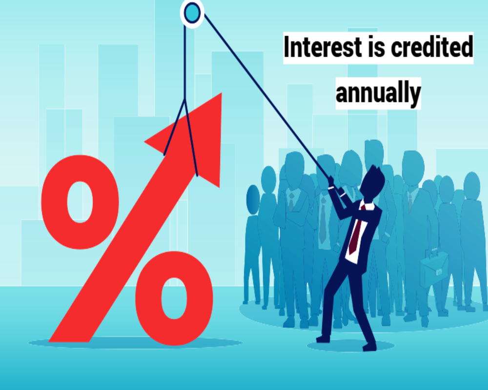 Describe how interest is credited annually - Hello Auditor