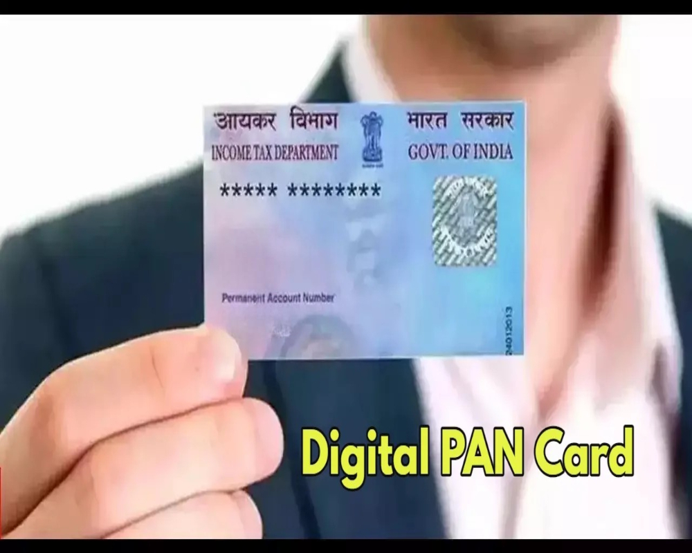 Explain digital PAN cards and their validity - Hello Auditor