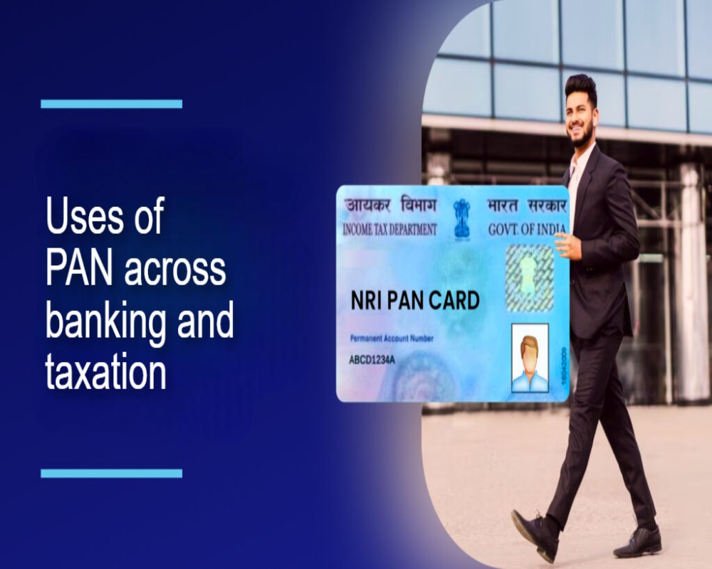 Define the uses of PAN across banking and taxation - Hello Auditor