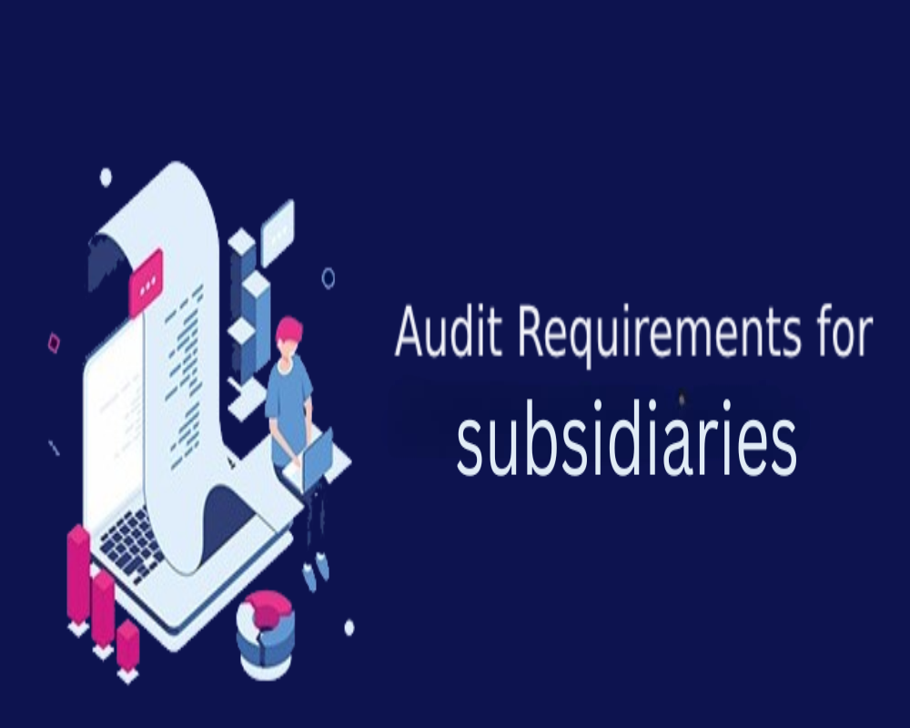 What are the audit requirements for subsidiaries? - Hello Auditor