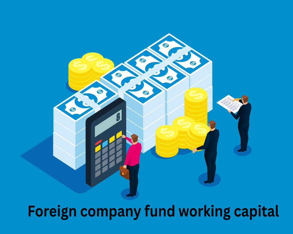 How can a foreign company fund working capital of a subsidiary? - Hello ...