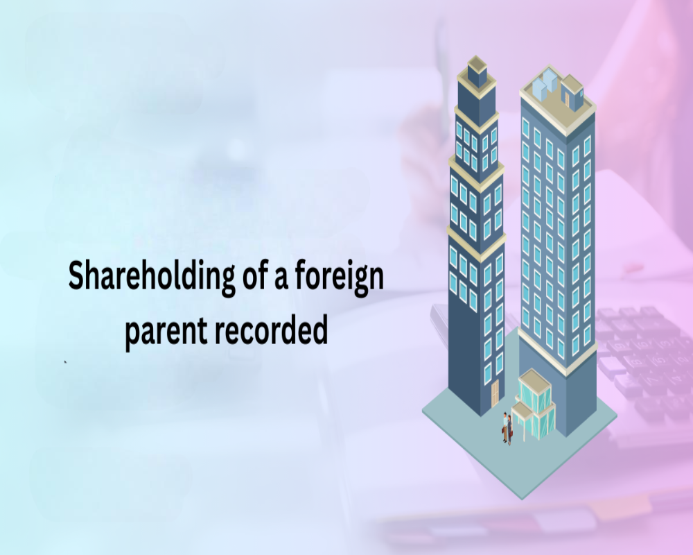 How is the shareholding of a foreign parent recorded? - Hello Auditor
