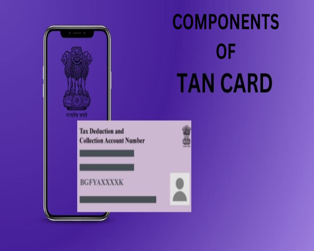 What are the components of a TAN? - Hello Auditor