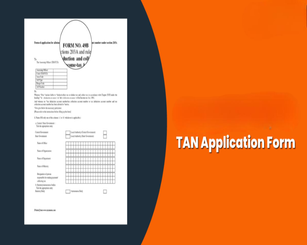 What is the application format for TAN? - Hello Auditor