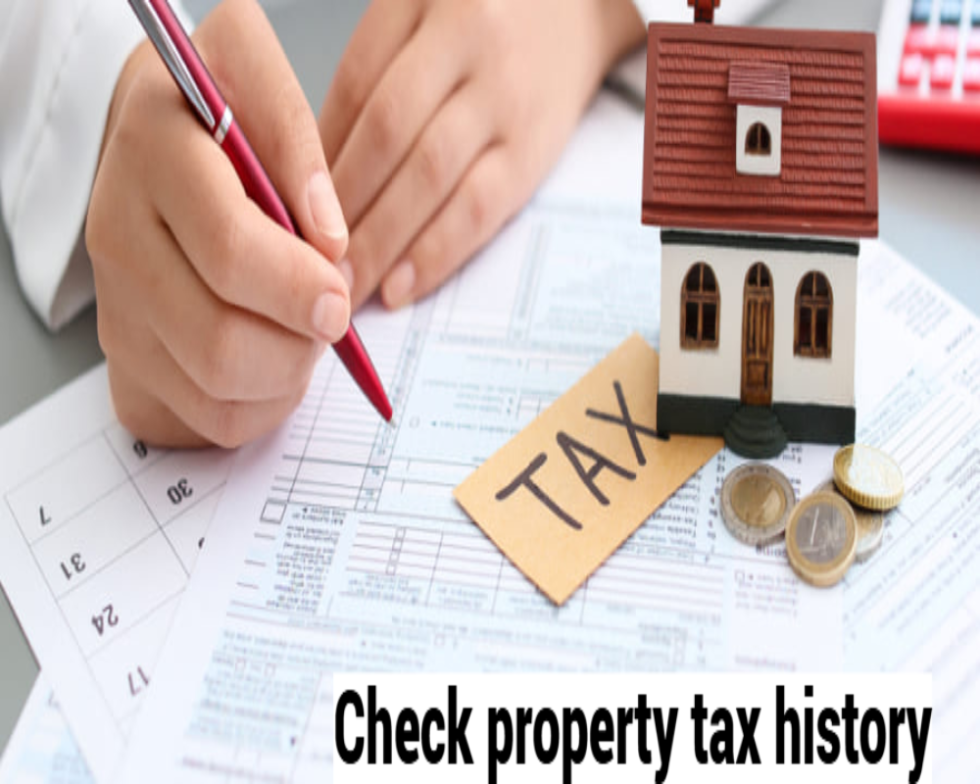 How to check property tax history? - Hello Auditor