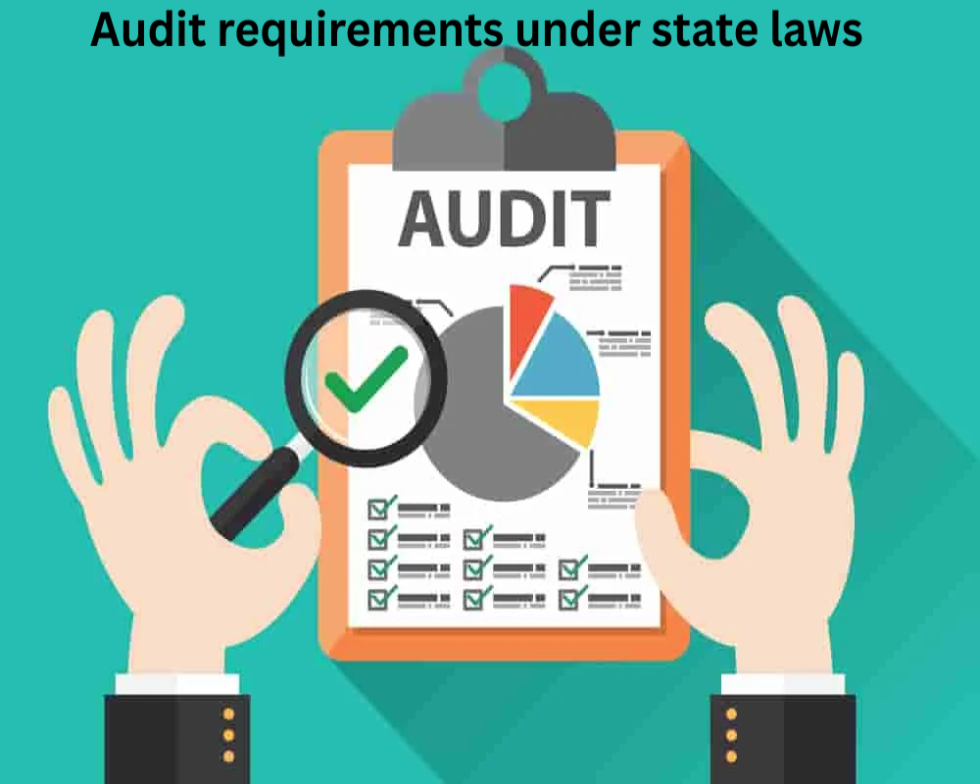 What are the audit requirements under state laws? - Hello Auditor
