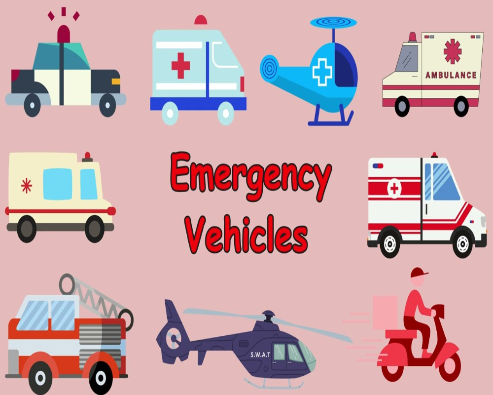 Introduction to Road Tax Provisions for Emergency Vehicles - Hello Auditor